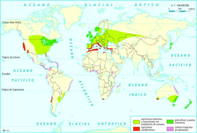 LA CLASE DE CIENCIAS SOCIALES: EL SECTOR PRIMARIO