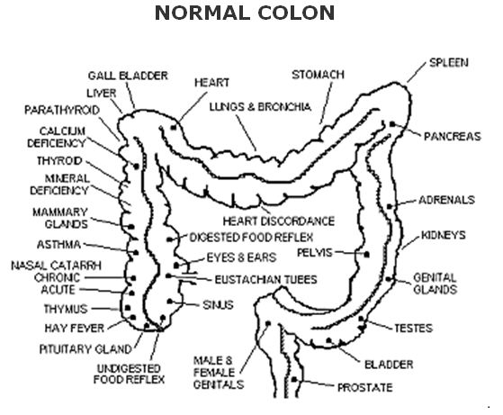 WELLNESS BEAUTE & HEALTH: - COLON HYDROTHERAPY