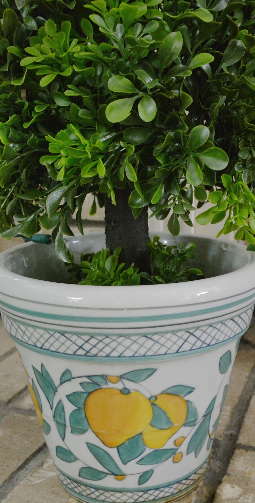 Let's Add Sprinkles: Boxwood Topiary From HedgeScapes