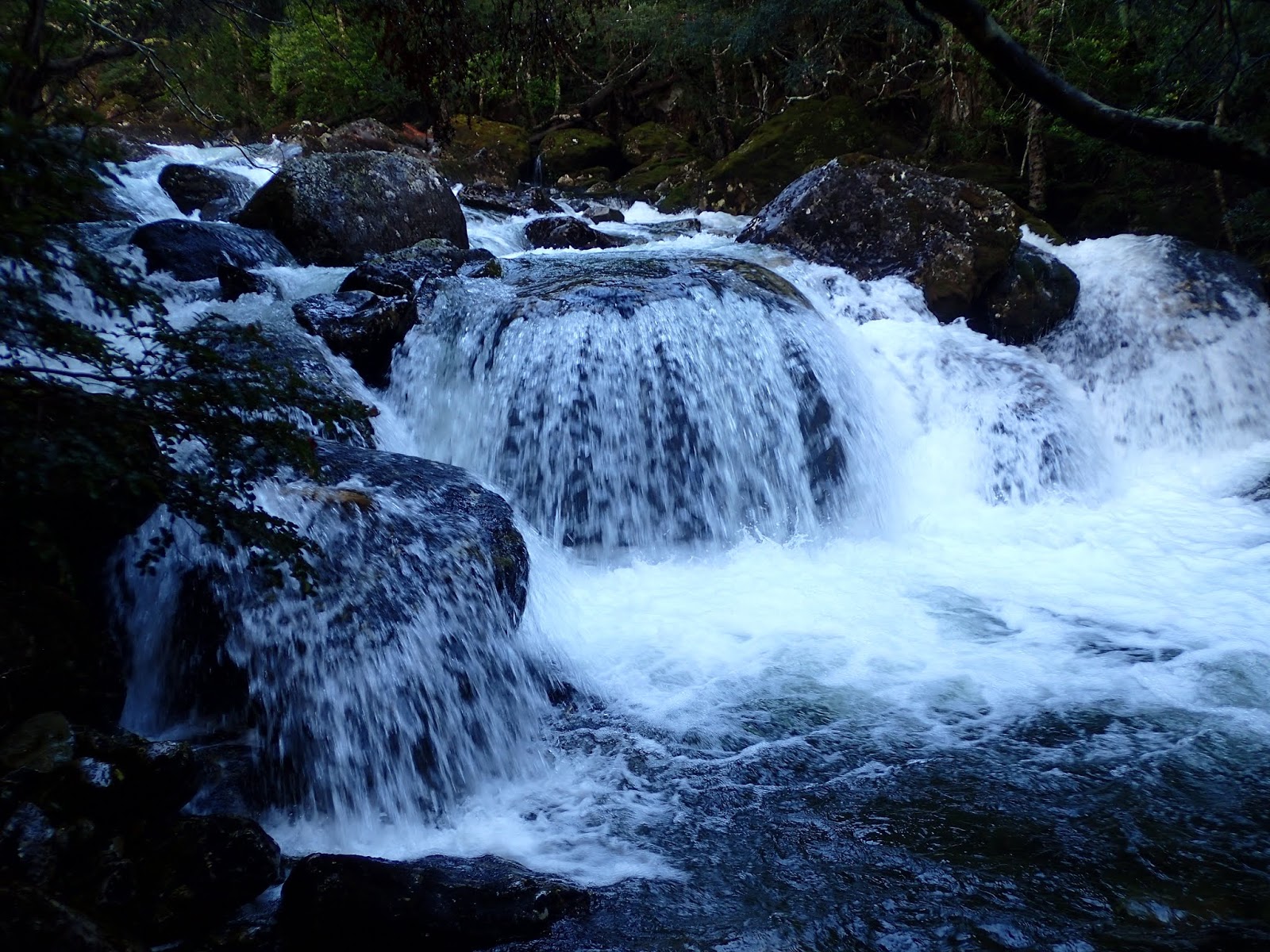 Safarihiker.: Meander Falls, Tasmania.