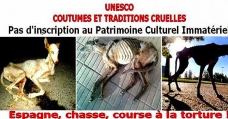 NOBLE GALGO: Peque en Sevilla breton negro super cariñoso