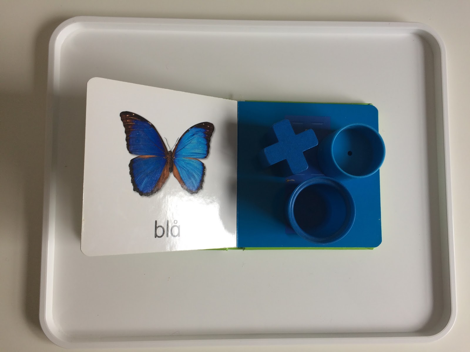 Family FECS: Matching Colors Using Baby Book & Toys