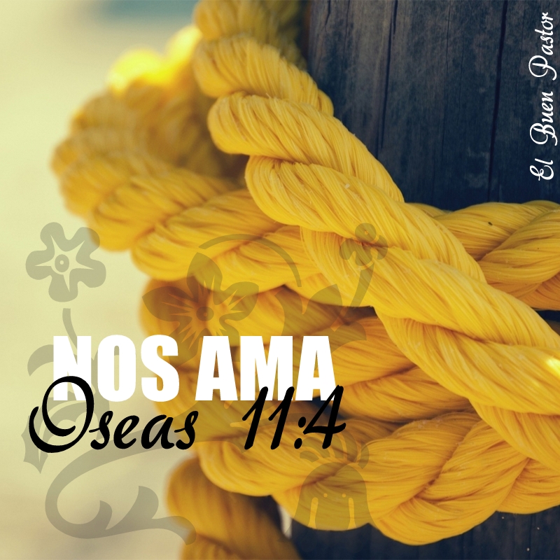 YO SOY EL BUEN PASTOR: Oseas 11:4