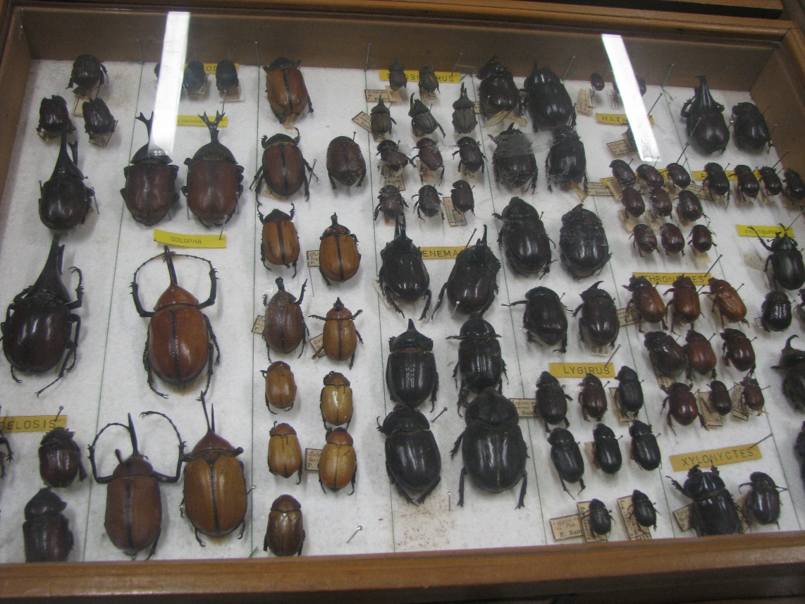 LABORATORIO DE CIENCIAS NATURALES: julio 2015