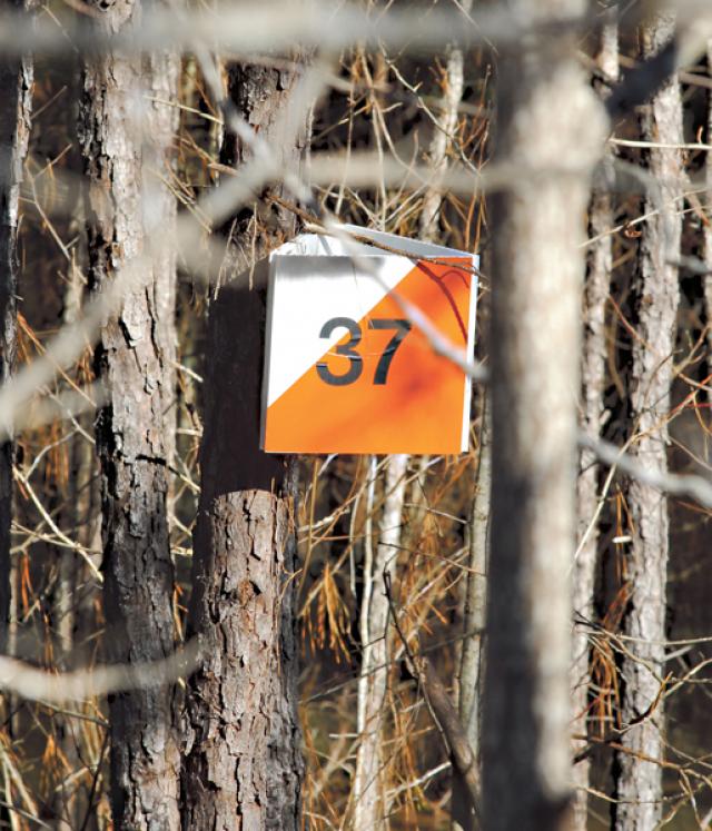 Orange Land Nav Placard