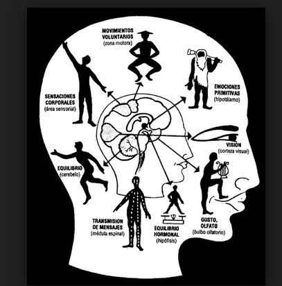 El Yo Psicologico - La Ciencia del Ser y del Saber