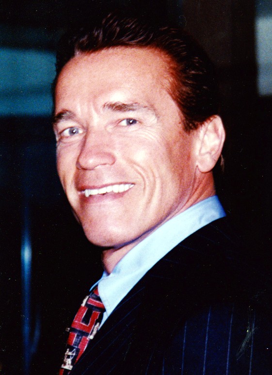6word Portraits: 6word Portrait: Arnold Schwarzenegger