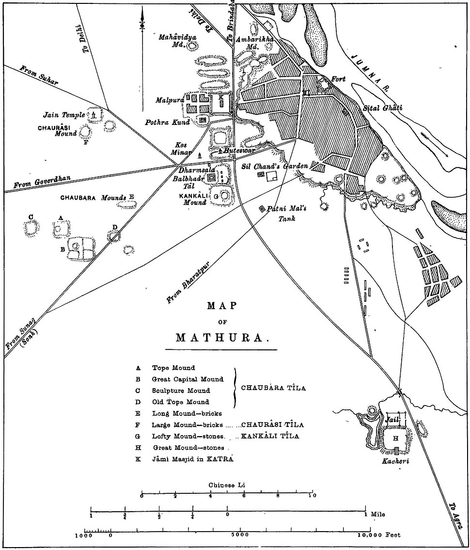 Just Tripping!: 2019