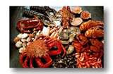 gastronomia0041: CLASIFICACION DE LOS MARISCOS