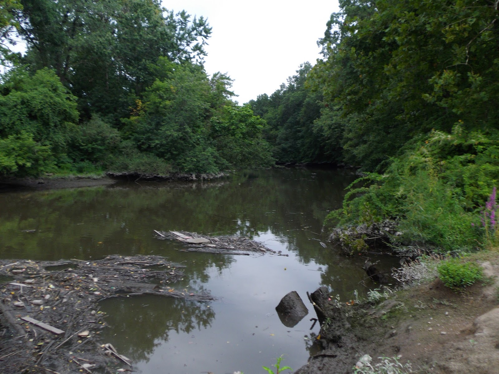 The Great Lakes of NYC: Hackensack River