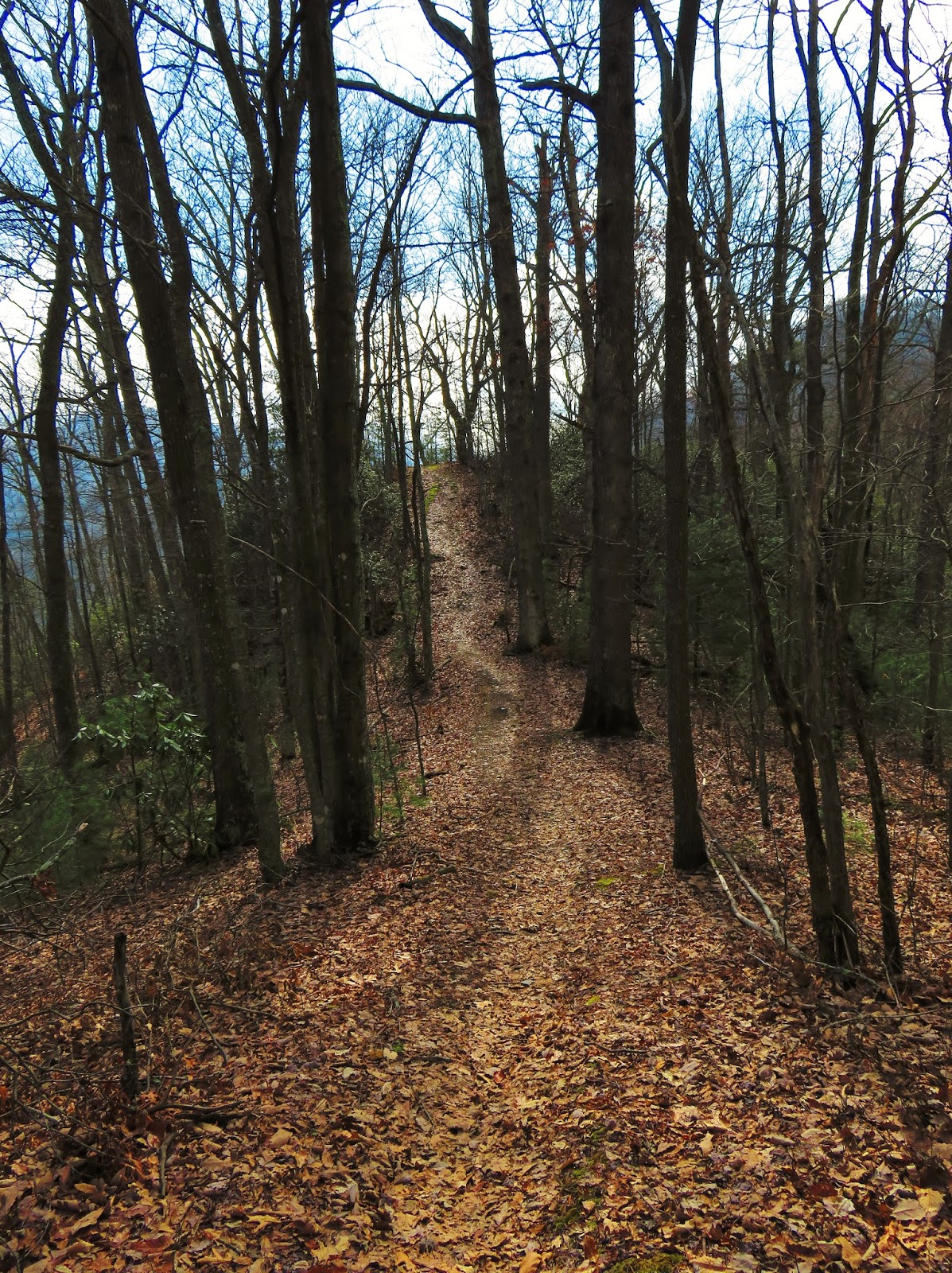 Tales From The Wood Booger: Hidden AT Day Hike Gem At Chestoa On Cliff ...