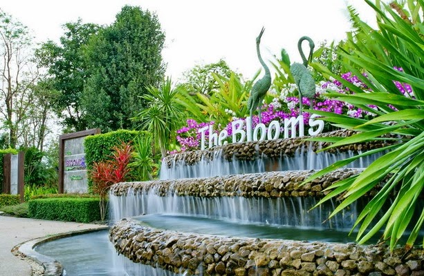 Travel and Eat in Ratchaburi Thailand: The Bloom Orchid Park