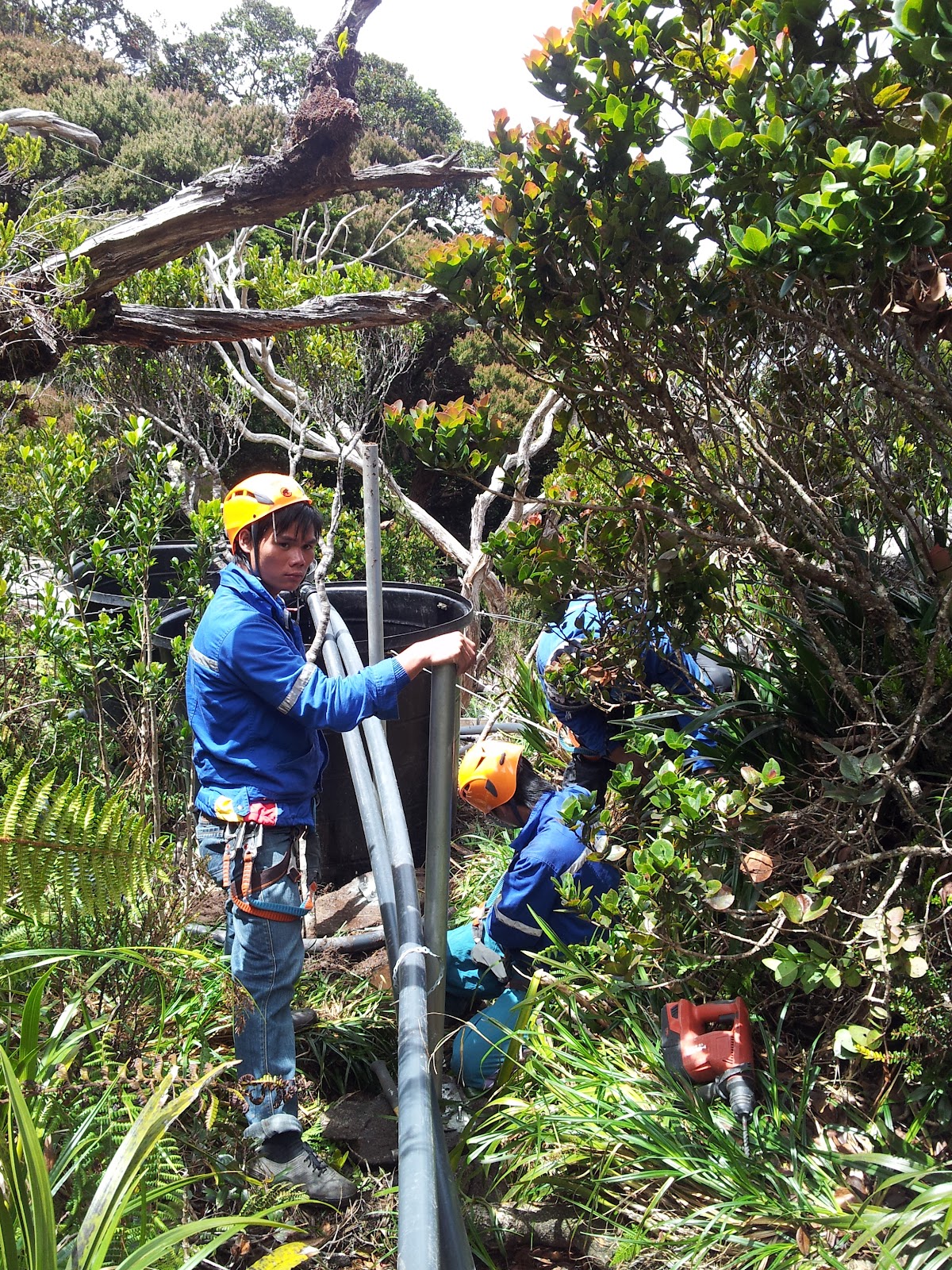 Micro Hydro in Borneo: Mt Kinabalu Solar hydro Hybrid system ...