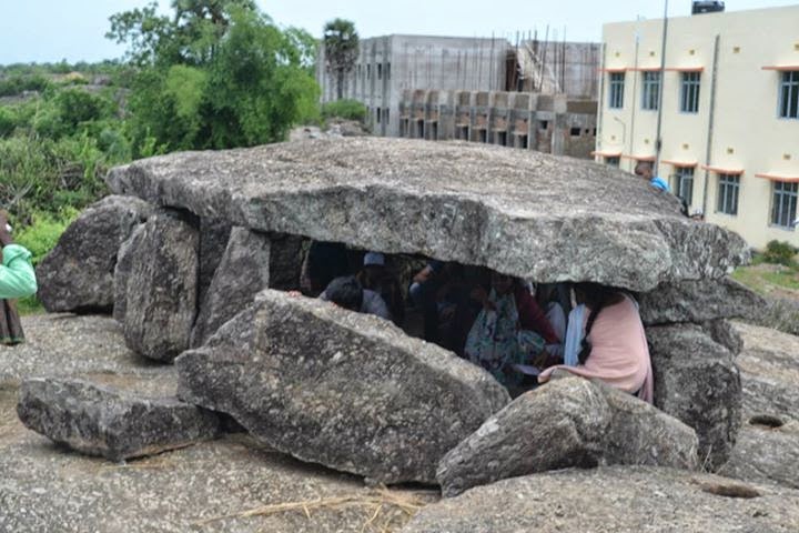 Bharatha Darshini: Dannanapeta: Unique Megalithic Site in India