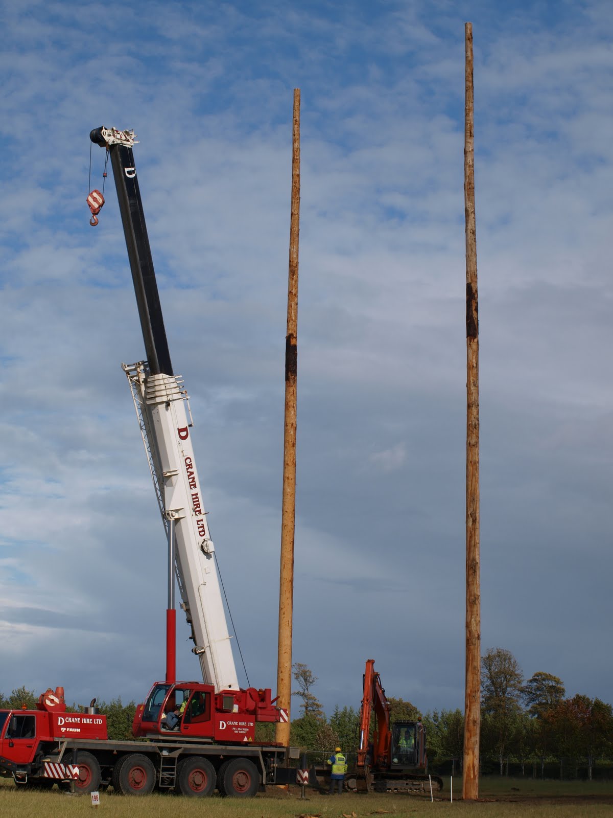 Free Chainsaw Training, tree surgery, tree care, tree advice, tree ...