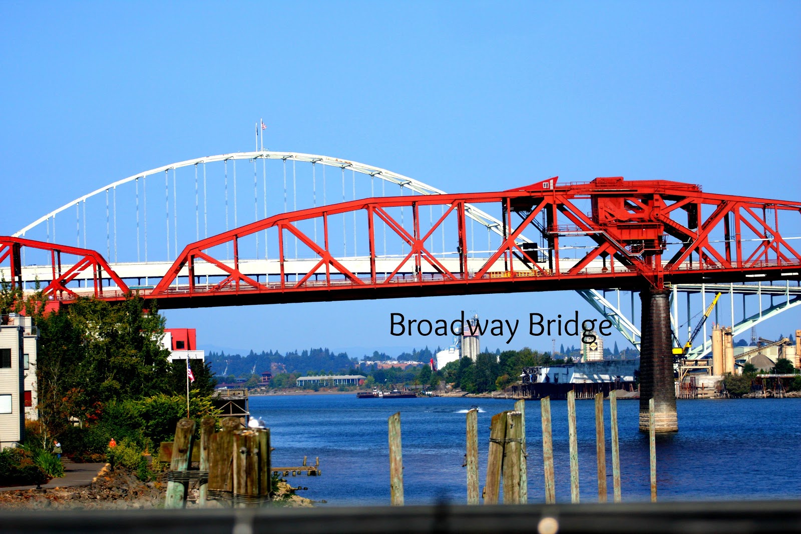 .: Bridges in Downtown Portland