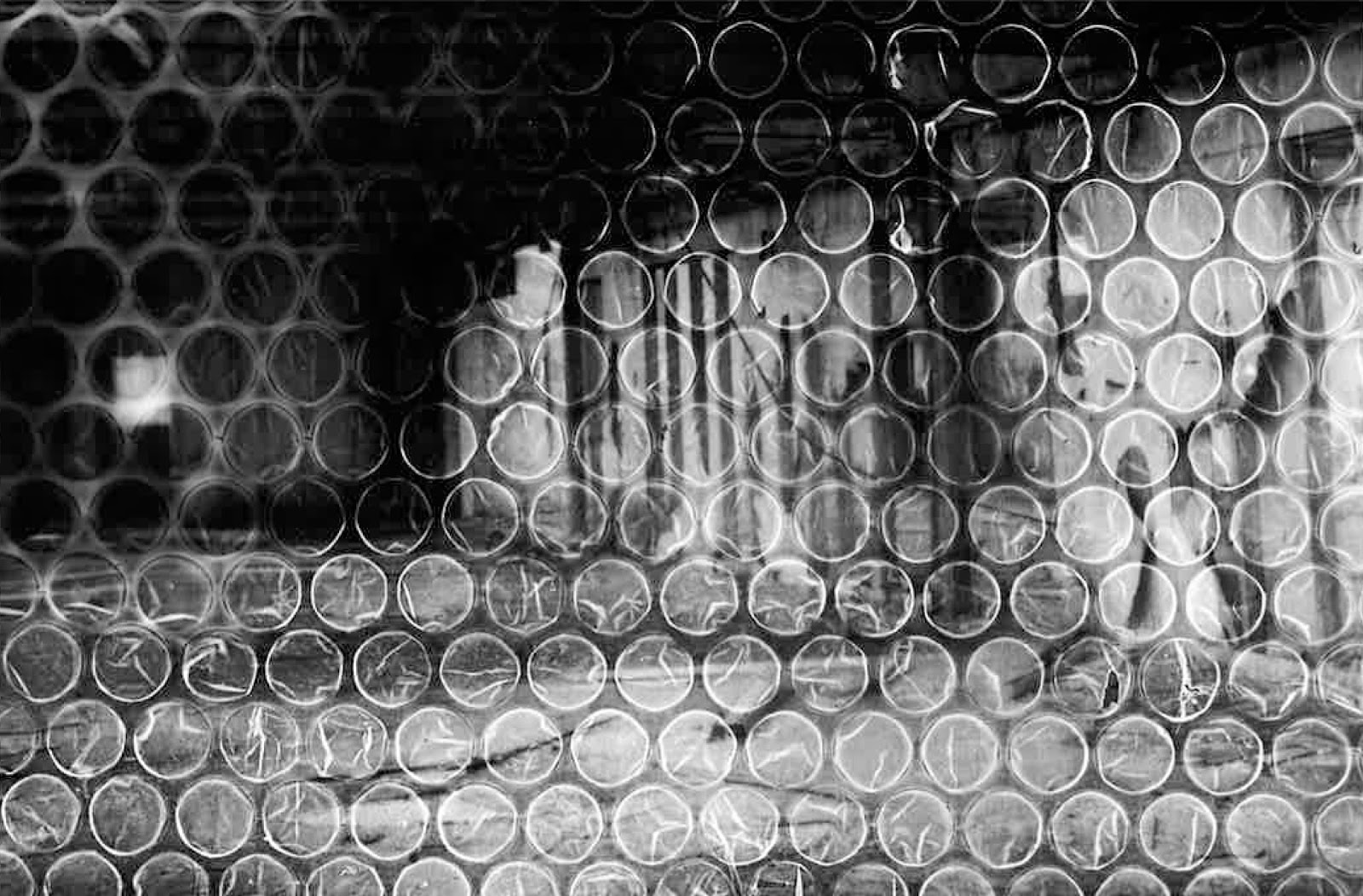 Lauren Carr: Dark Room Experiments.