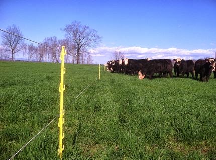 Missouri Beginning Farming: Management-intensive Grazing School Oct. 22 ...