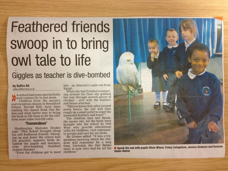 Broadford Primary: We're In The Paper - Owls Dive Bomb Teacher!