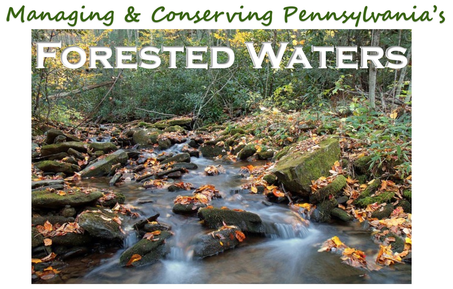 PA Environment Digest Blog: PA Forestry Assn: Managing & Conserving ...