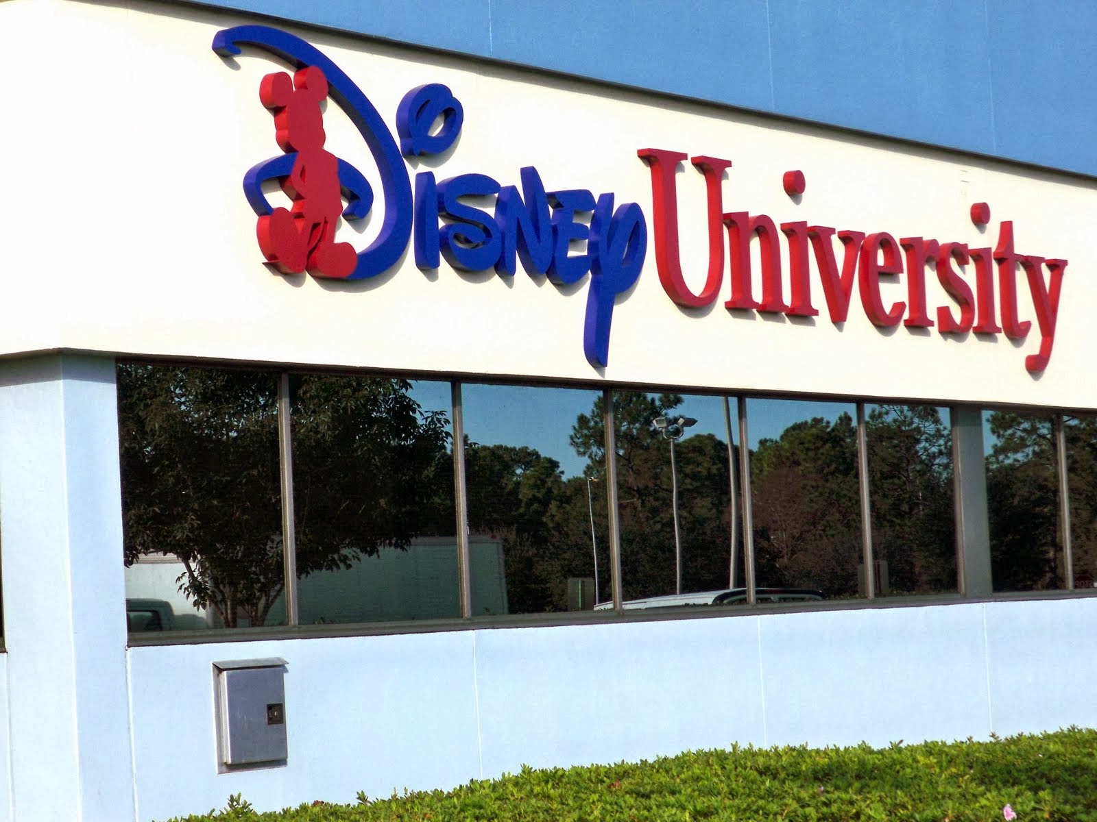 Ears on Emily: Overview of the Disney College Program