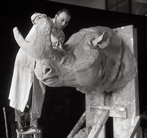 Koprolitos: ZOOBOOKS: Antepasados de los rinocerontes