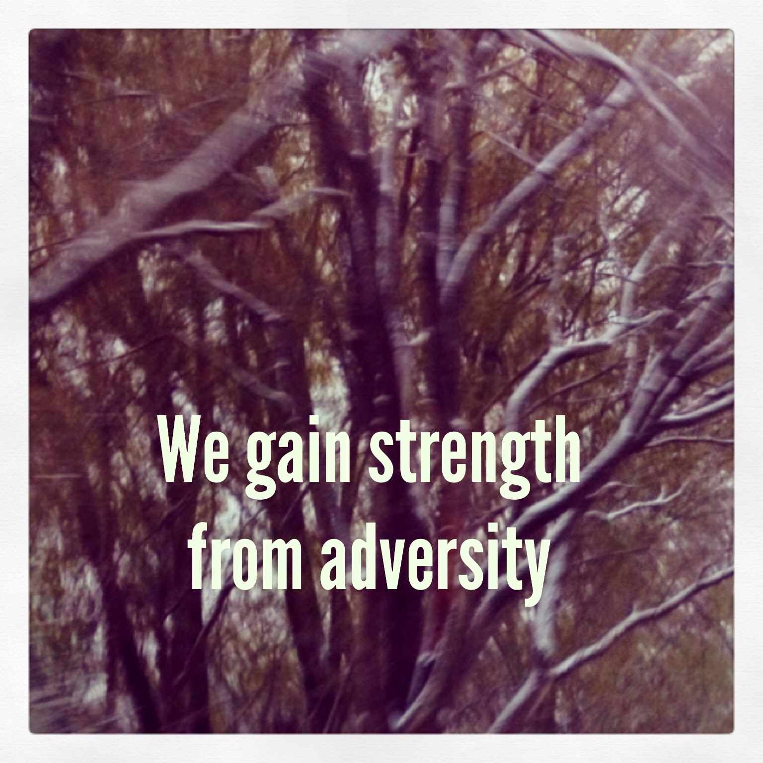We gain strength from adversity