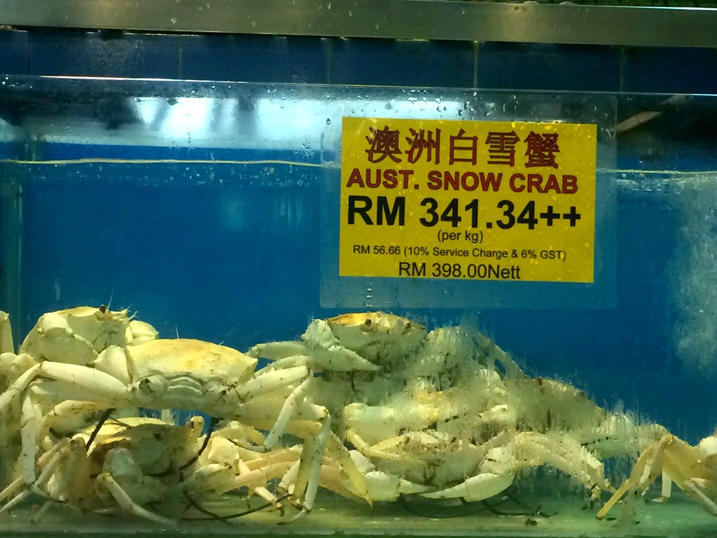 Travelholic: Unique Seafood Restaurant - serving seafood freshness