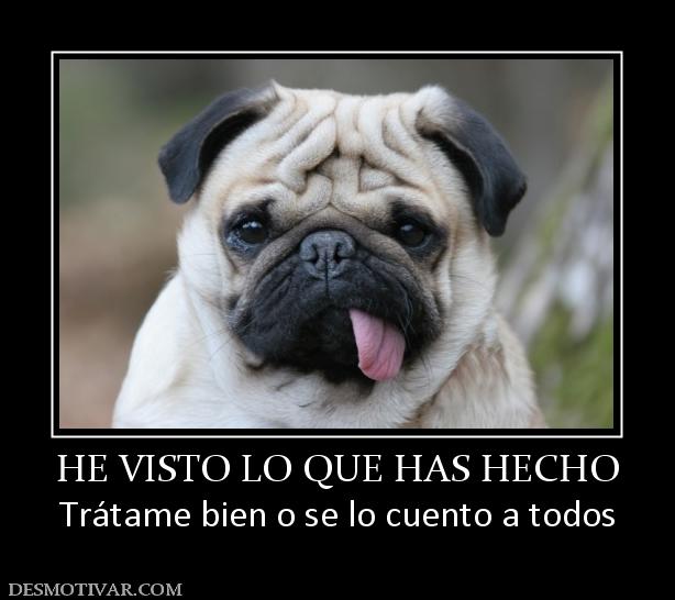 ¿Qué has hecho? : My Spanish Notes