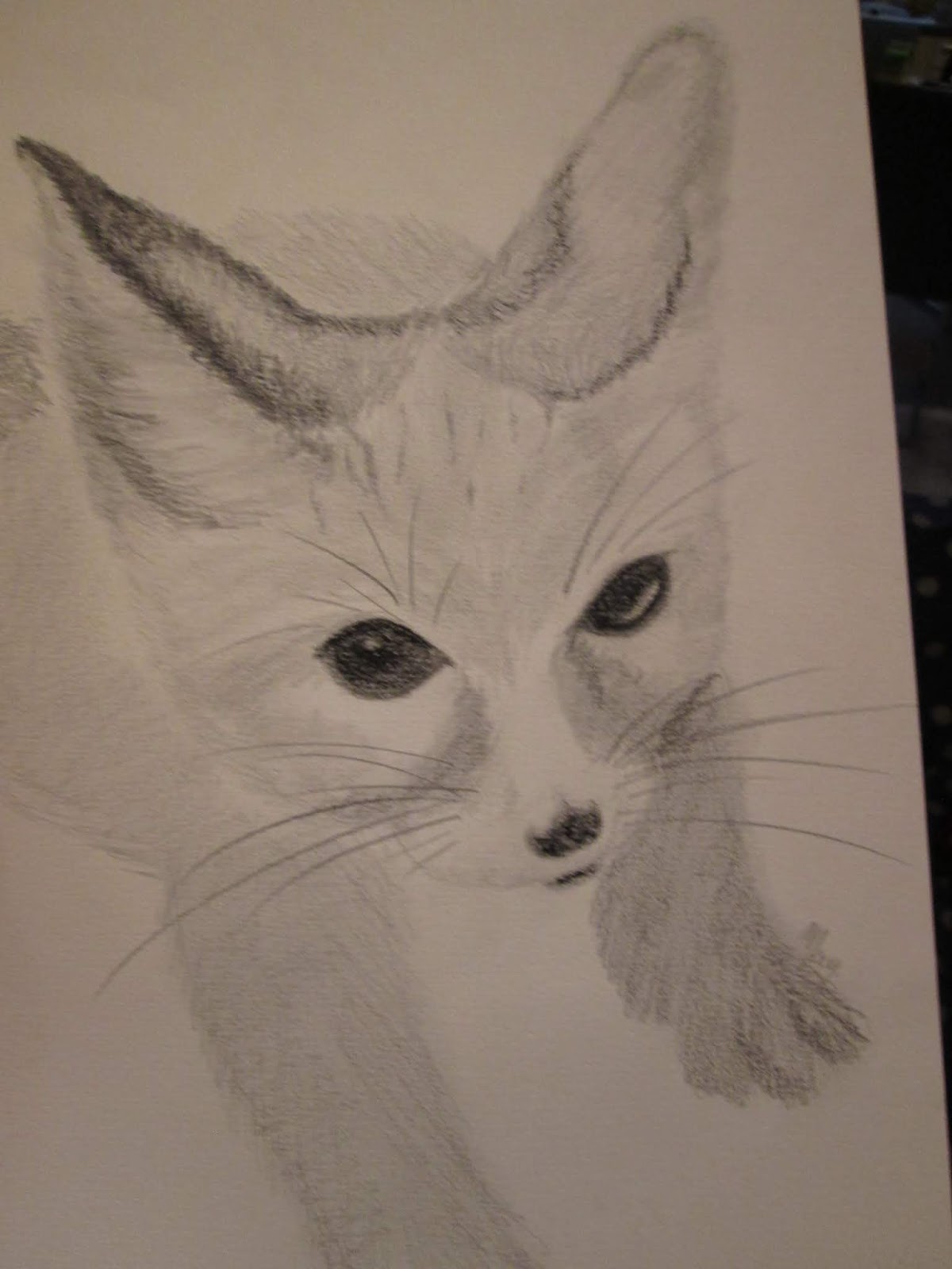 M.ay: esquisses, crayon, fusain et sanguine