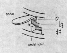 The harp and you! :): Harp for Beginners: how to work the pedal harp