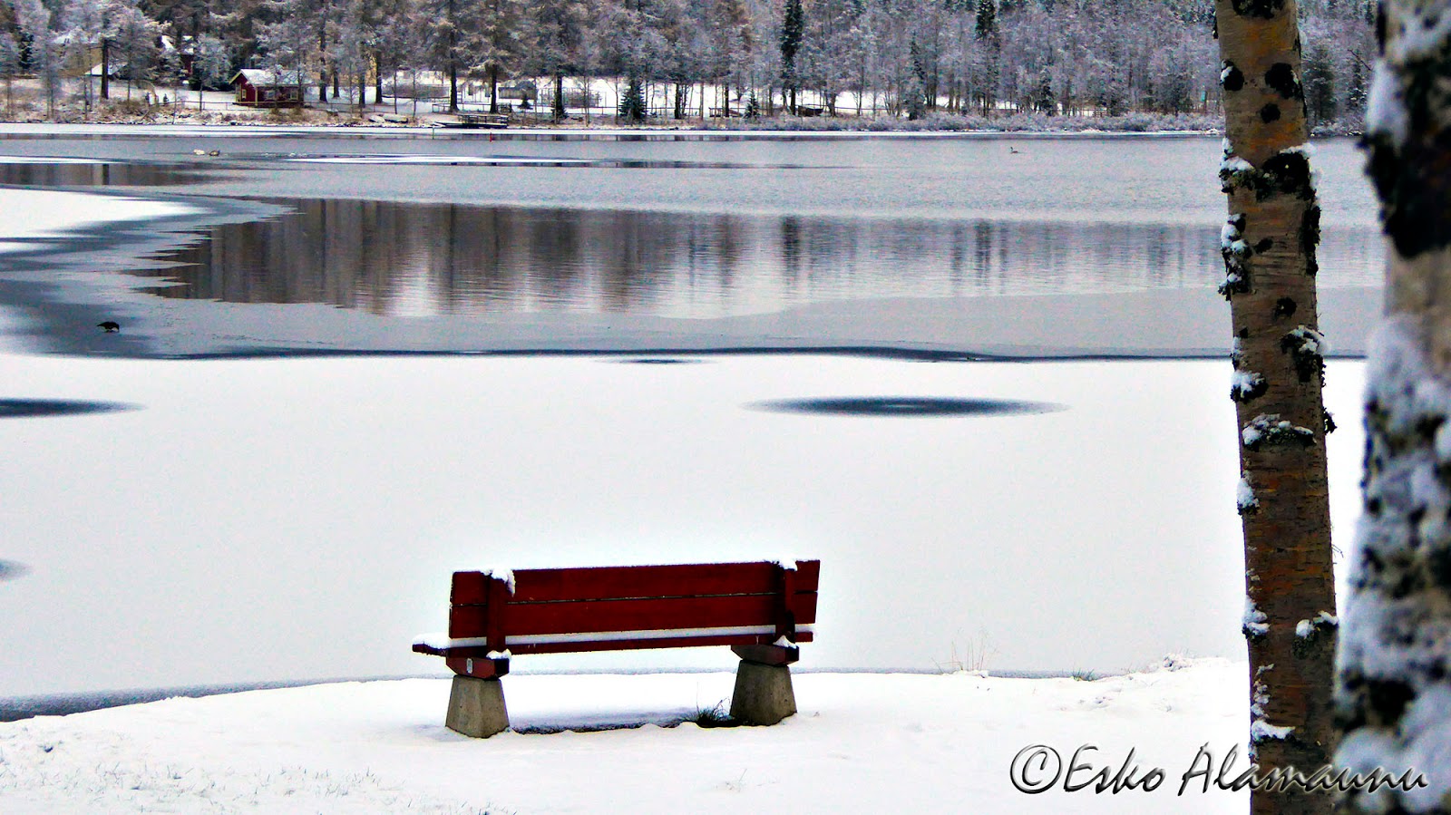 Eko-Kuvia: Talvi-Penkki...