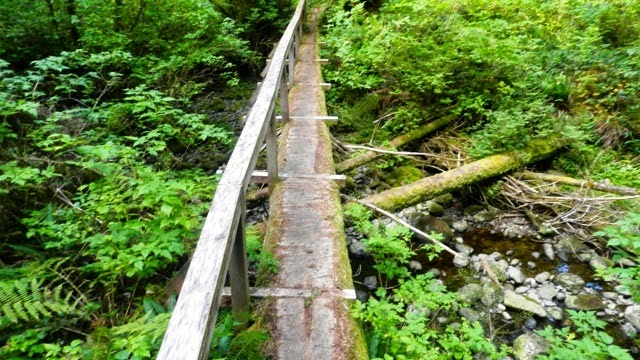 Fit @ 60 & Beyond: Day #7- Laura Creek Campsite to Eric Lake Campsite