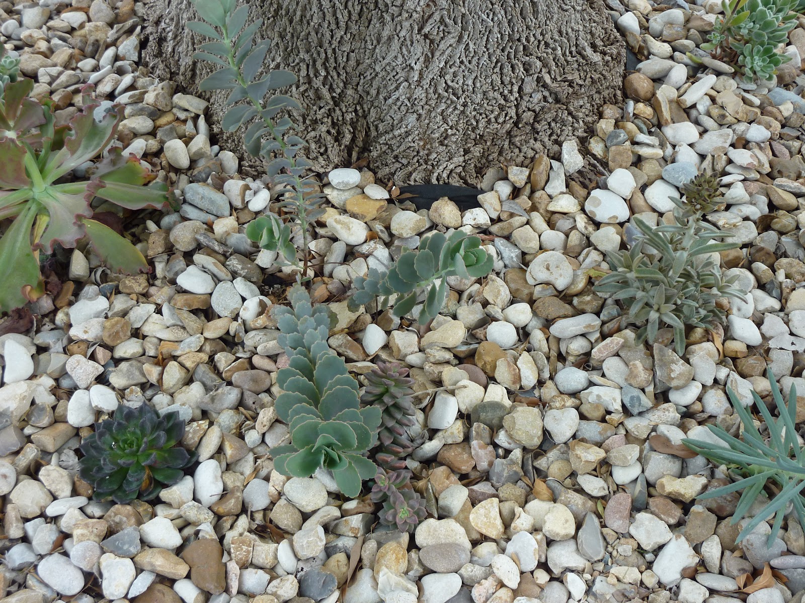 A Few of My Favorite Things