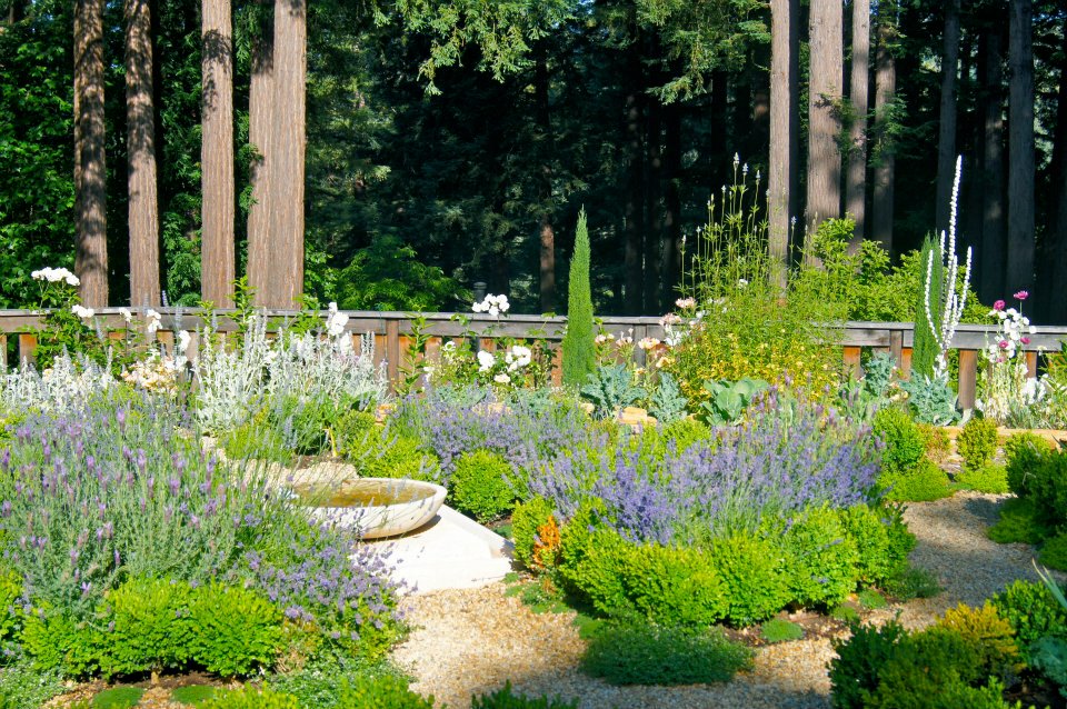 A Garden of Gravel - Beth Mac Designs