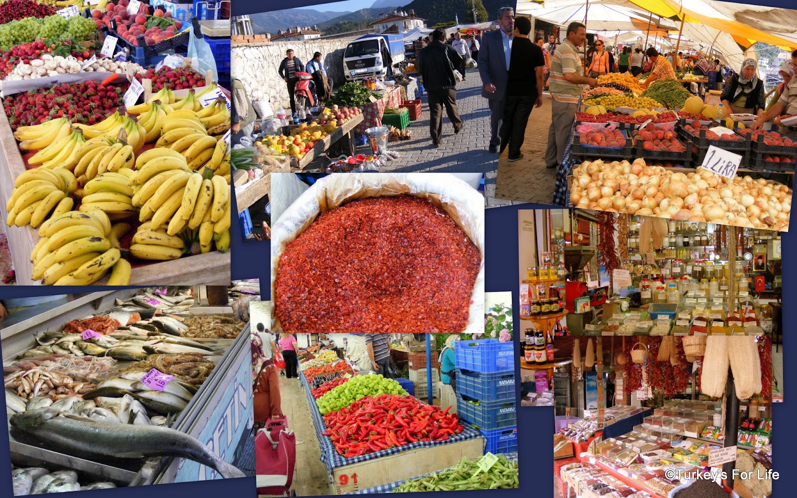 Turkish Food & Recipes Feature Week - Welcome! • Turkey's For Life