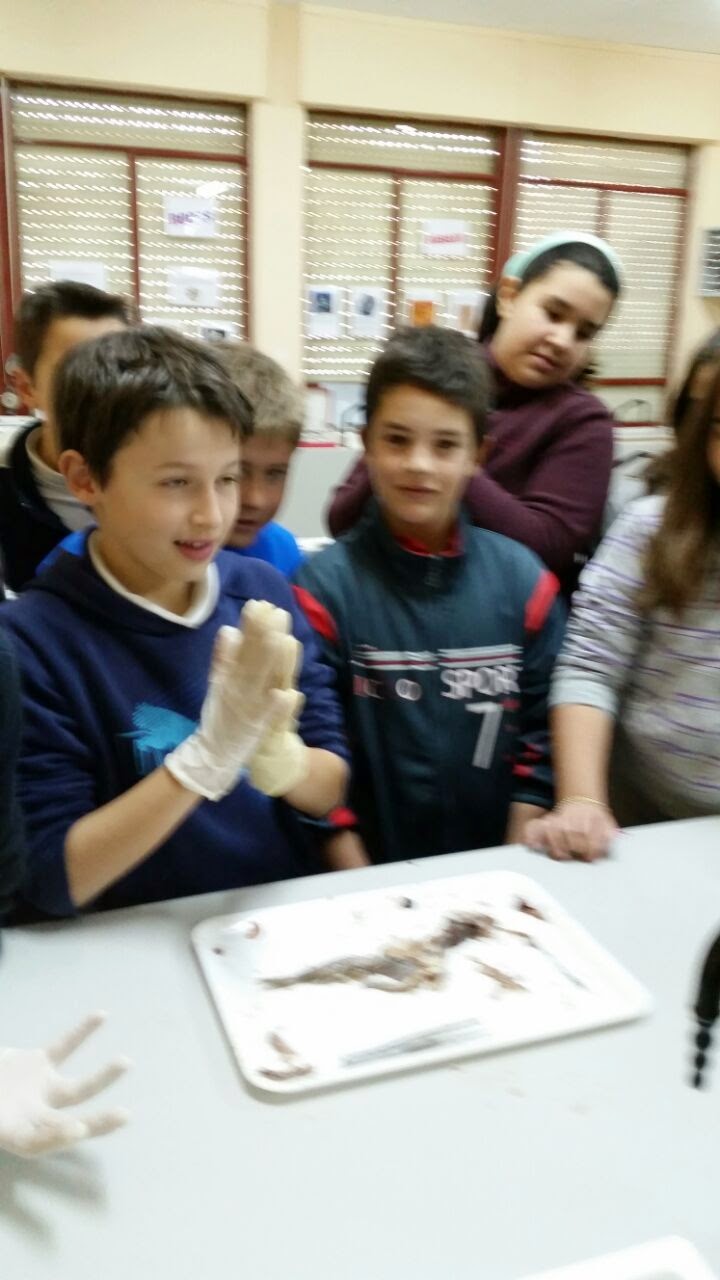 SCIENCE IN THE SCHOOL: DISSECTION OF A FISH II