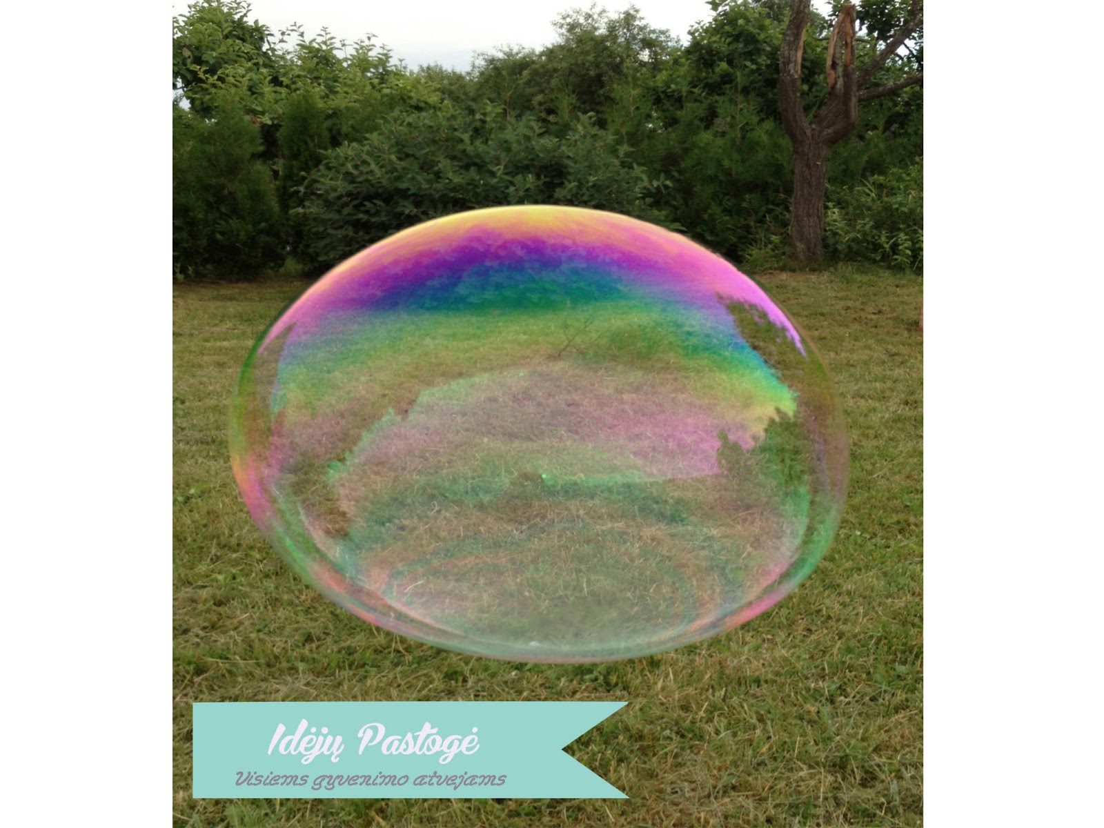 Visos idėjos po vienu stogu!!!: Gigantiškiai Dideli Muilo Burbulai