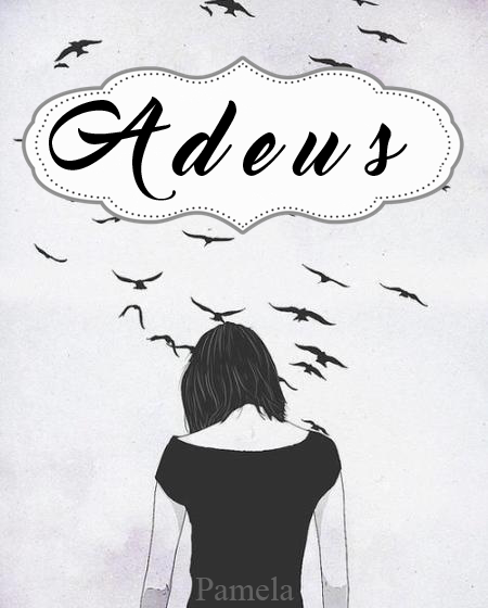 O Mundo Invisível de uma Mulher: Adeus...