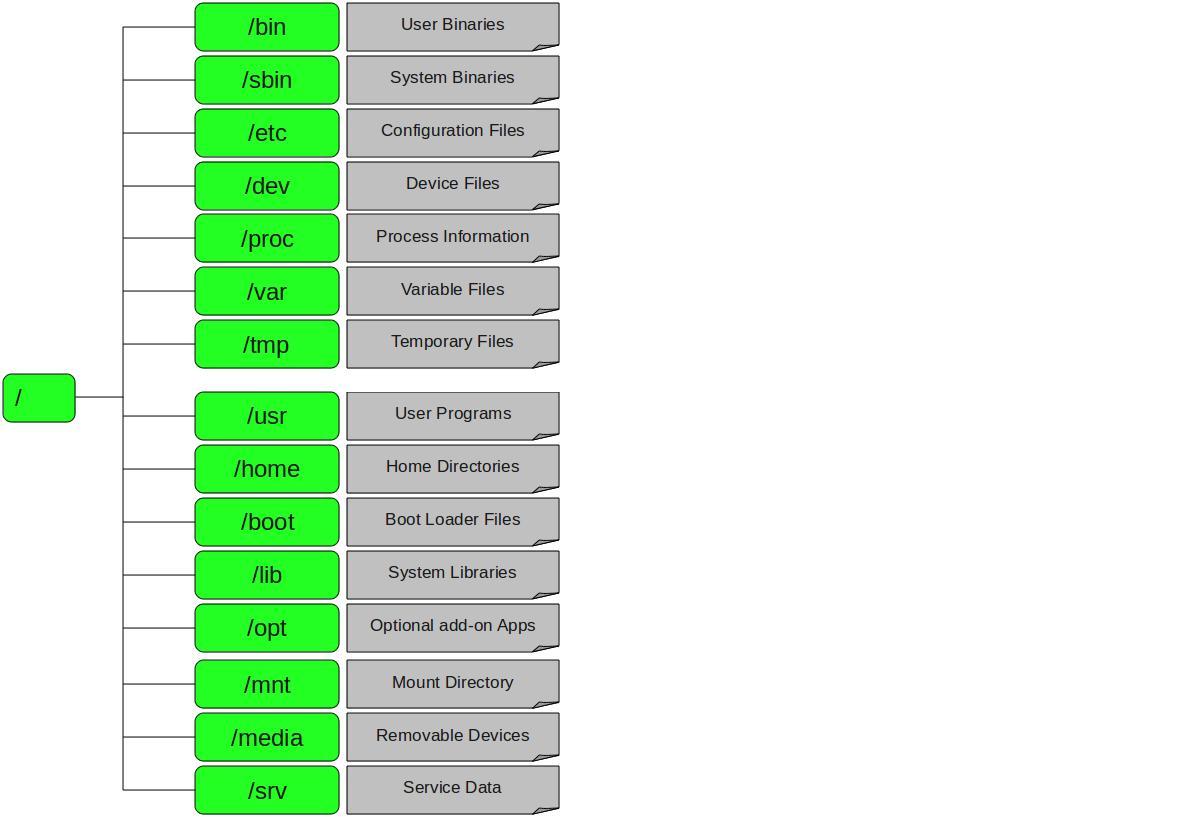 INFORMATION TECHNOLOGY: Linux File System Structure