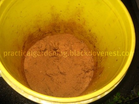 Practical Gardening: Easy Homemade Fish Emulsion Fertilizer