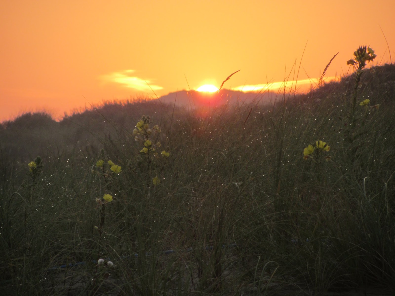 De Cultuurbarbaar: Avondrood en morgenrood op zomers strand