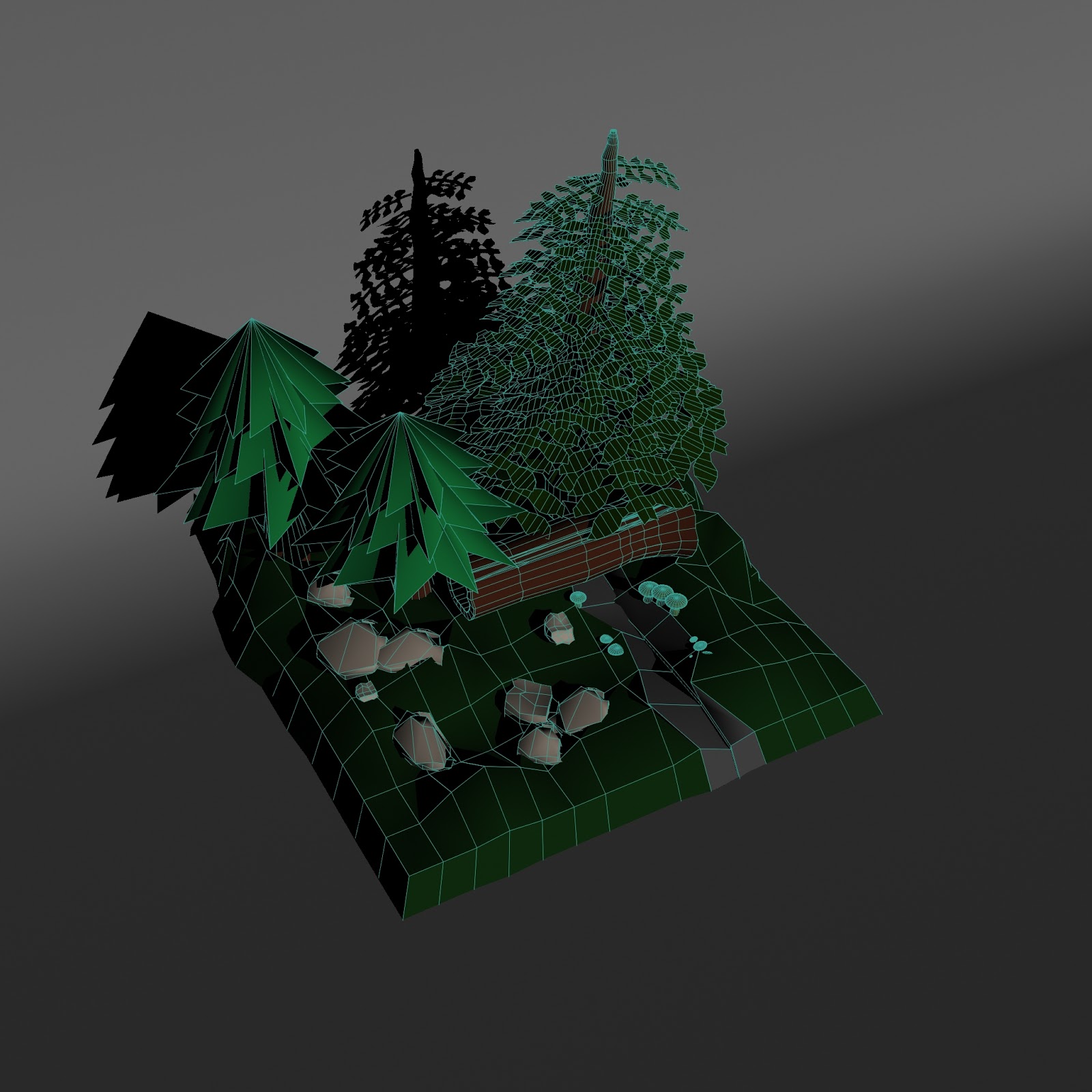 Darshini Suvarna : Environment model