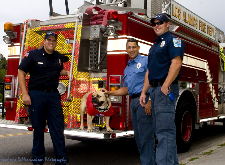 Lafd Blog