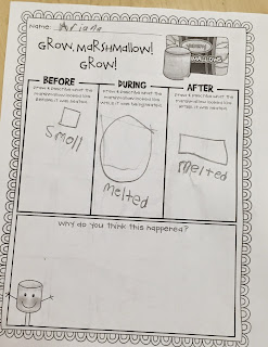 FIRST GRADE MON-STARS: 1st Grade Smarty Pants Camp