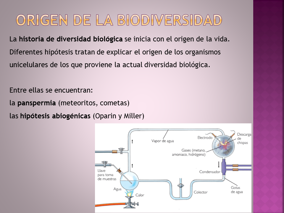 biología y geología 1ºbto: Tema 10 LA DIVERSIDAD DE LOS SERES VIVOS