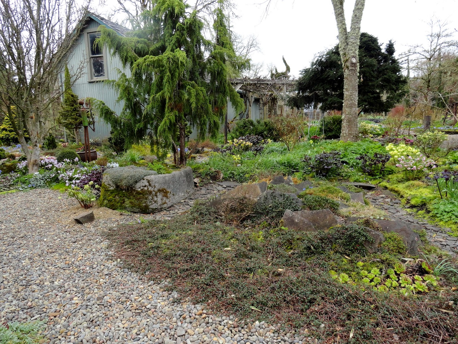 danger garden: Visiting the O’Byrnes nursery and garden…