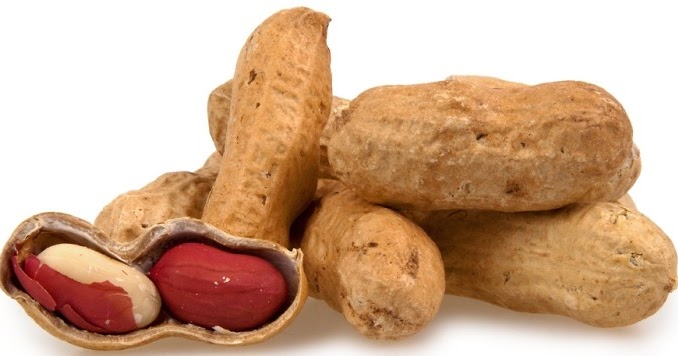 Every Day Is Special: September 13 - National Peanut Day