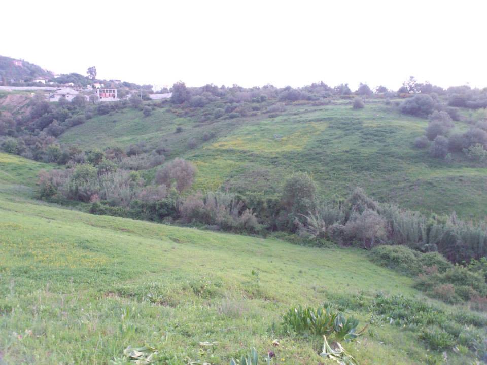 Die Kabylei: Die Impressionen