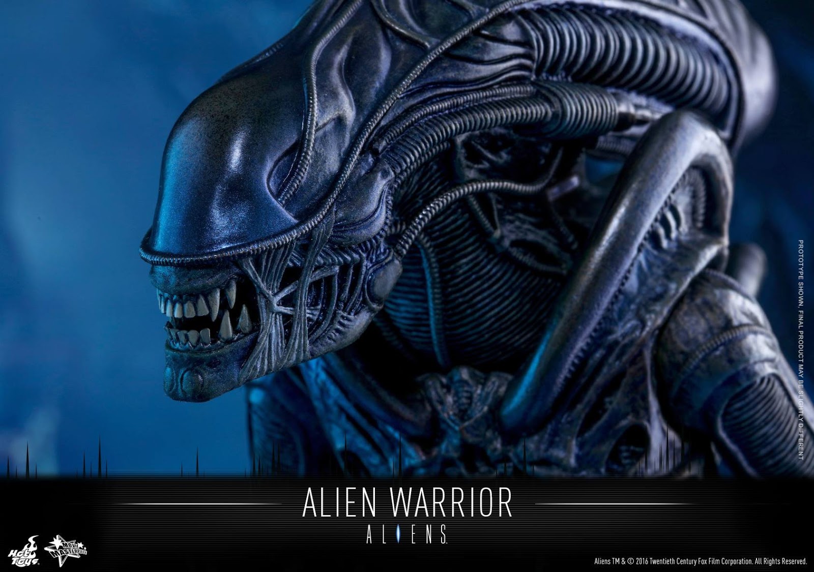 toyhaven: Hot Toys all new "Aliens" Xenomorph 1/6th scale Alien Warrior ...